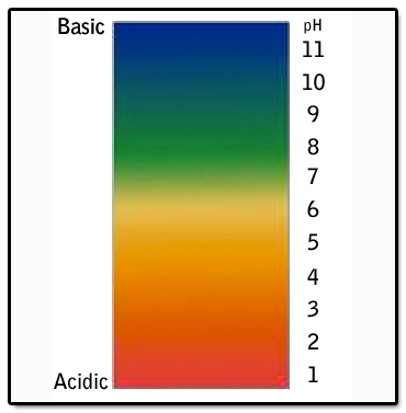 if_pH_universal_scale[1] – Easy Peasy All-in-One High School