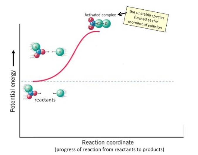 slide3 – Easy Peasy All-in-One High School